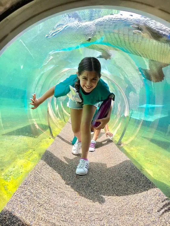 23 Cool Summer Activities for Kids - Party & Beyond!